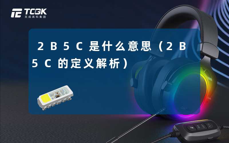 2B5C是什么意思（2B5C的定义解析）-天成高科集团